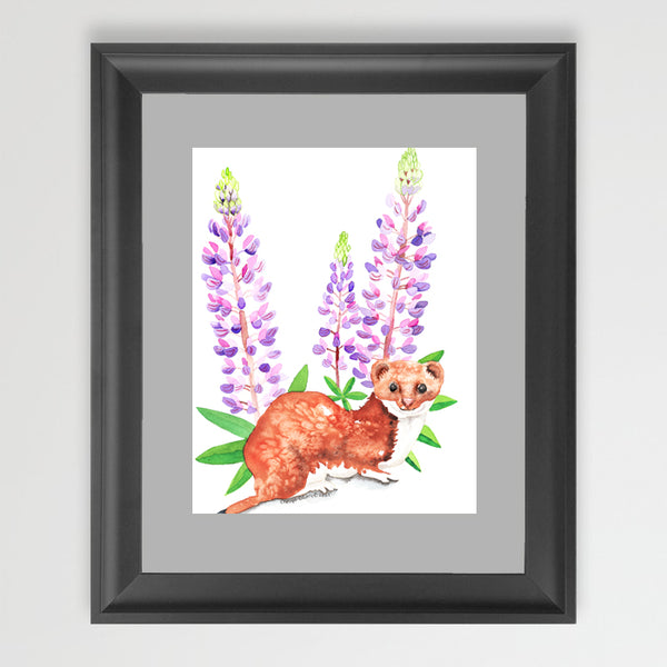 Print - Ermine – Dancing Raven Designs