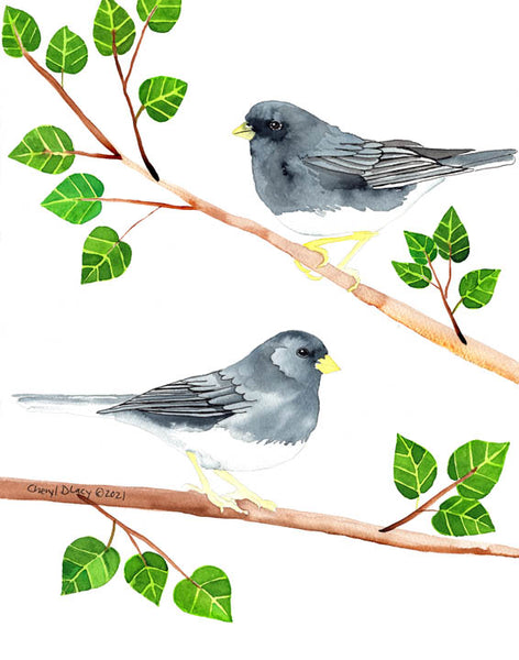 Original - Junco – Dancing Raven Designs